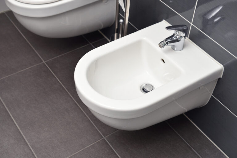 What Is Sanitaryware and Different Types of Sanitaryware