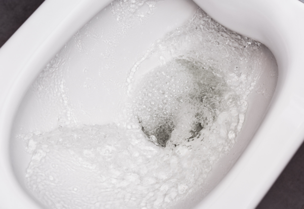 5 Toilet Flushing System Types in India