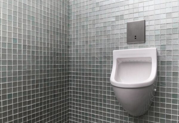 6 Popular Types of Urinals You Find in India | East India Company